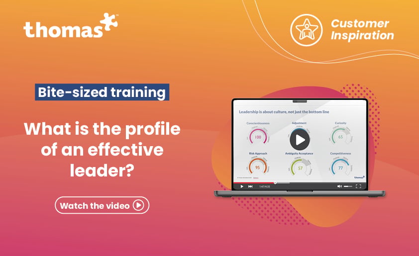 [Video] What is the profile of an effective senior leader?